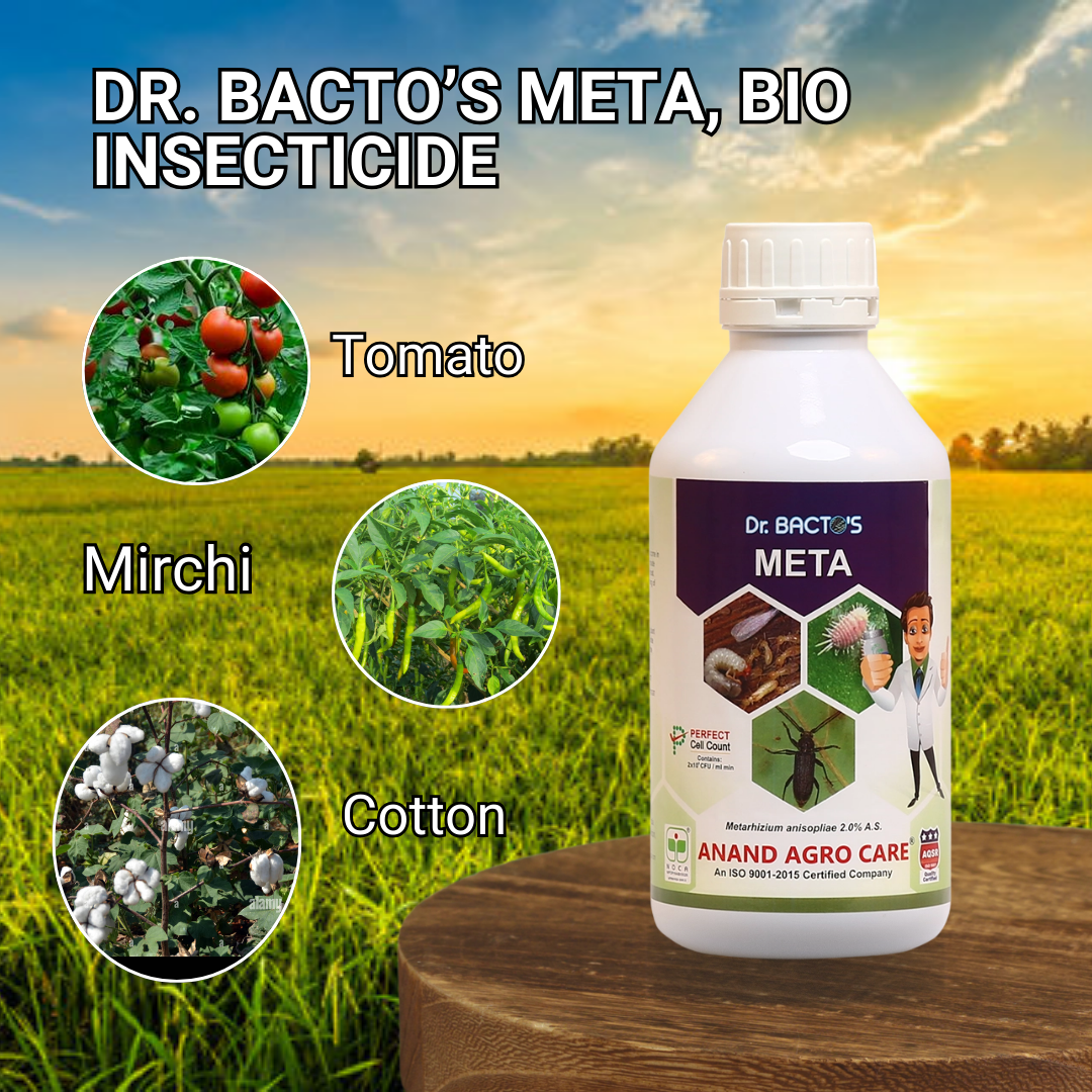 Dr. Bacto’s Mehta Bio Insecticide – CultivaAgri